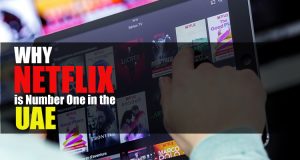 Why Netflix is Number one in the UAE? - FlashyDubai.com